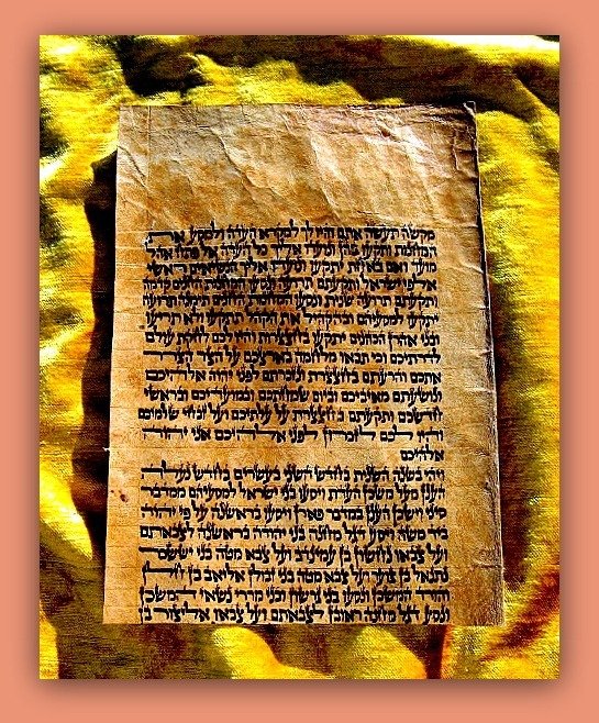 Chidusche Torat Mosche חידושי תורת משה - Original Torah & Bible ...