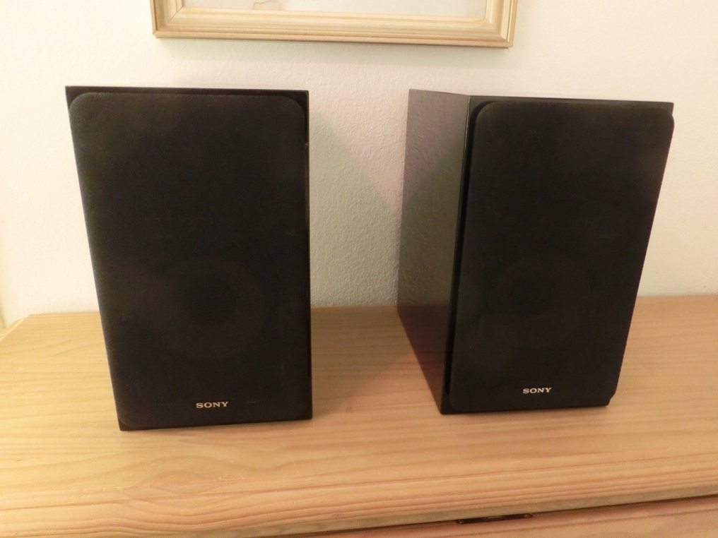 Sony - SS-CG1 Speaker - Catawiki