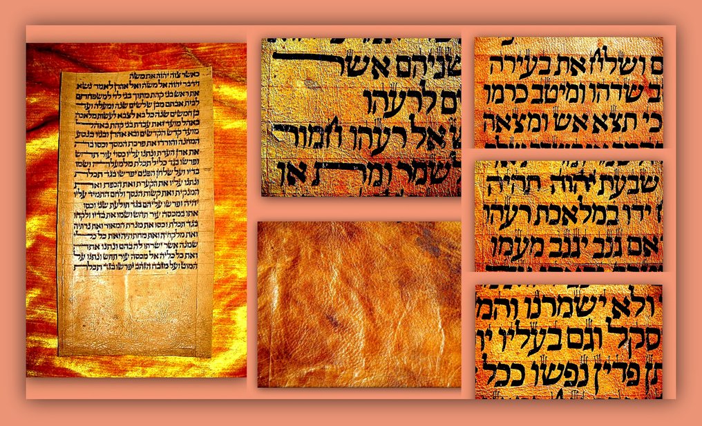 Chidusche Torat Mosche חידושי תורת משה - Original Torah & Bible ...